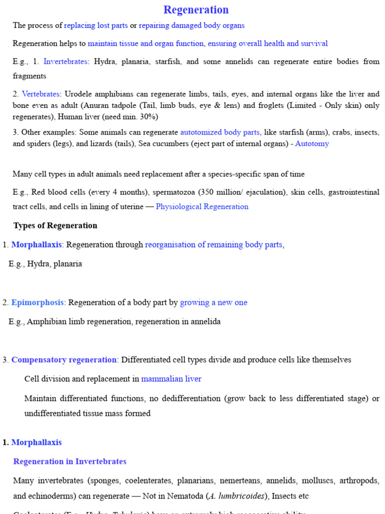 Understanding Animal Regeneration Processes | PDF | Regeneration ...