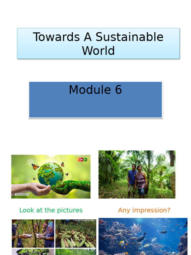 Towards A Sustainable World 2 | PDF | Sustainability | Kyoto Protocol