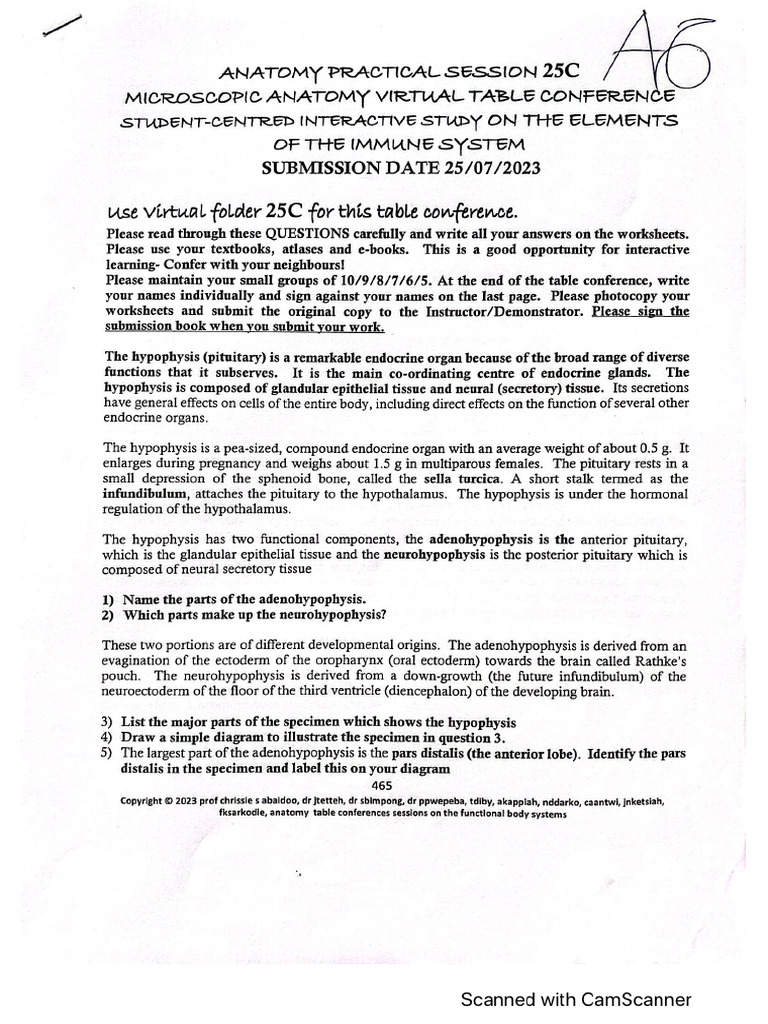 Table Conference 25C | PDF