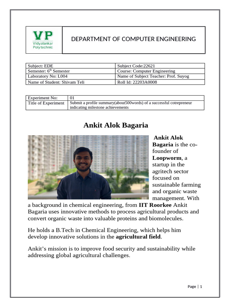 Computer Engineering Profile Summary | PDF | Agriculture | Food Industry