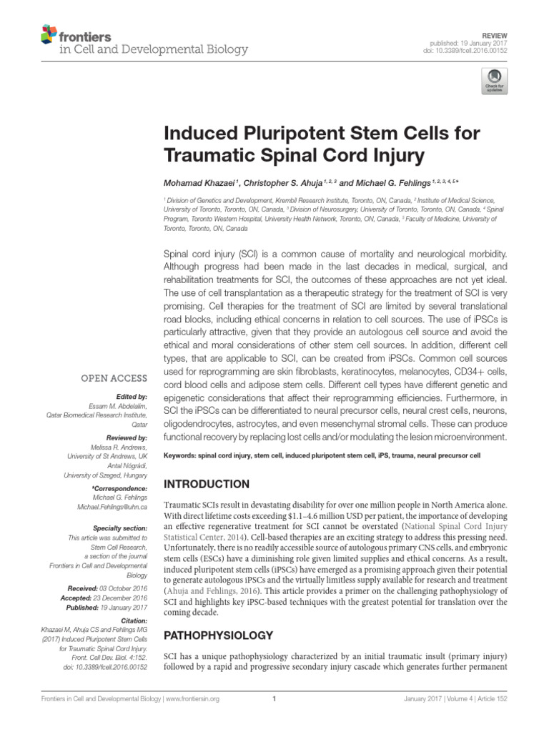 JA3_iPSCs | PDF | Cell Potency | Cellular Differentiation