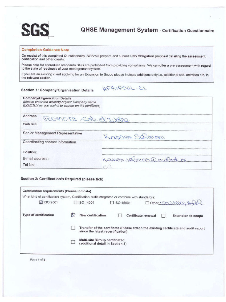 Questionnaire SGS | PDF