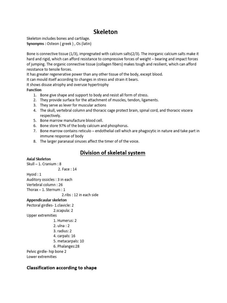 Lecture Notes On Skeleton by DR Rahul Kumar | PDF | Bone | Skeleton