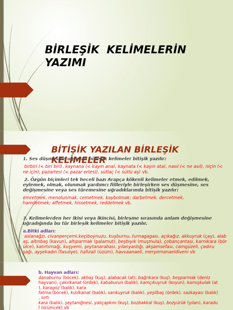 BİRLEŞİK KELİMELERİN YAZIMI | PDF