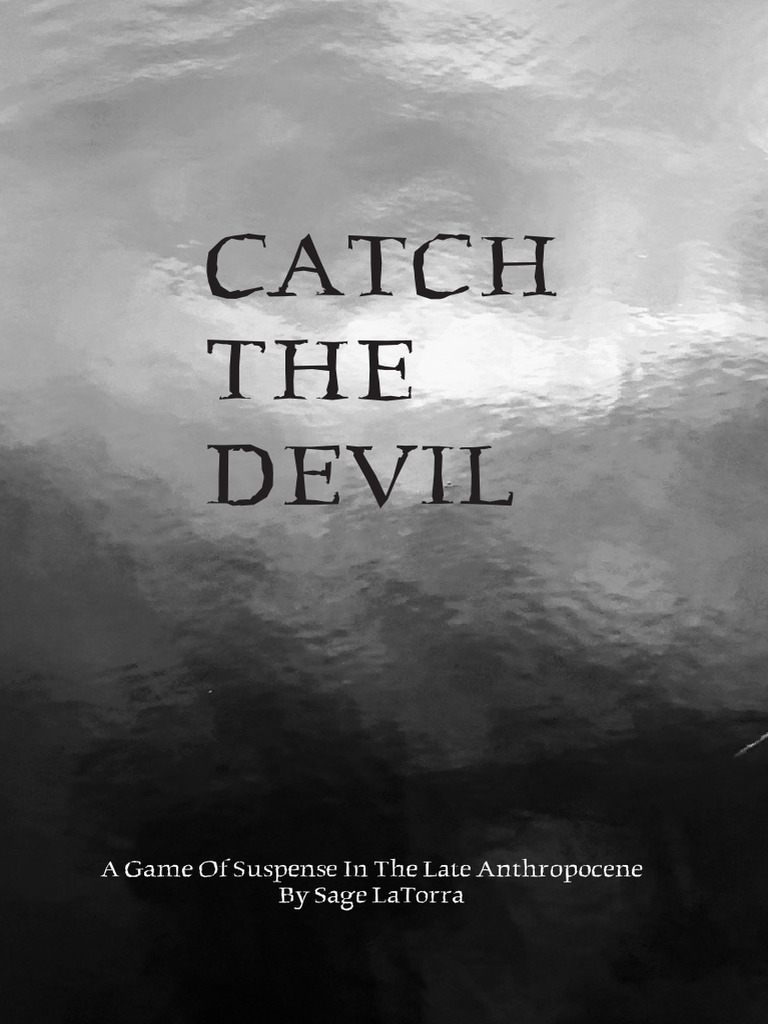 Catch The Devil | PDF | Risk