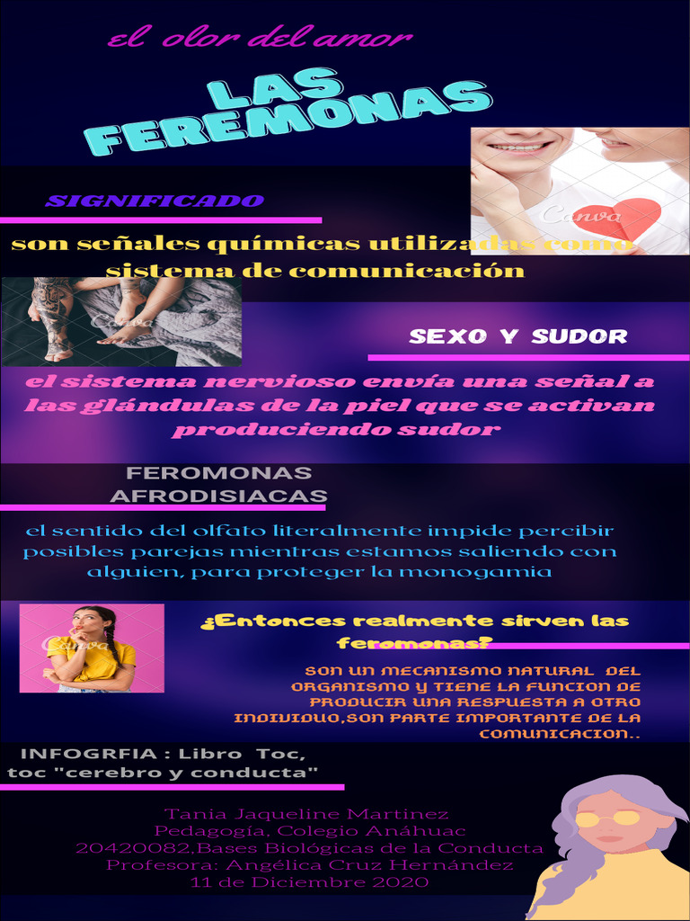 infografia de libro toc toc_11 dic-20 | PDF