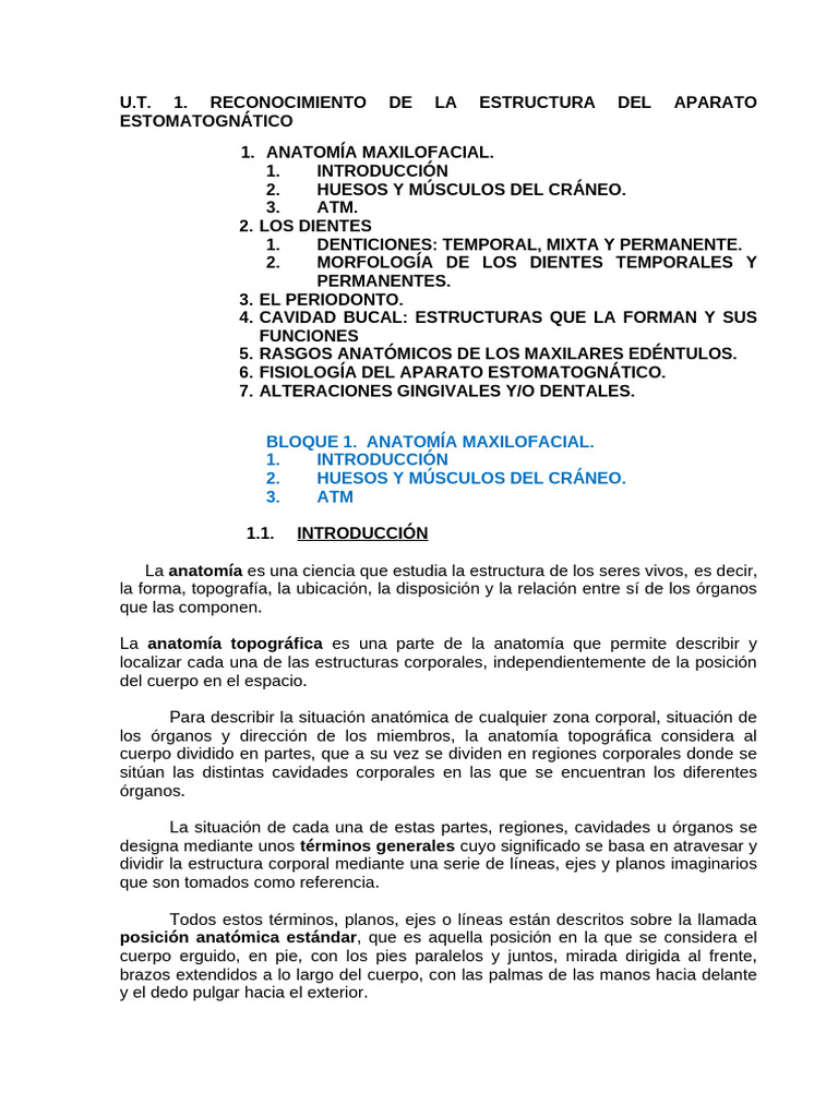 U.T.1 BLOQUE 1.RECONOCIMIENTO DE LA ESTRUCTURA DEL APARATO ESTOMATOGNÁTICO (1) | PDF ...