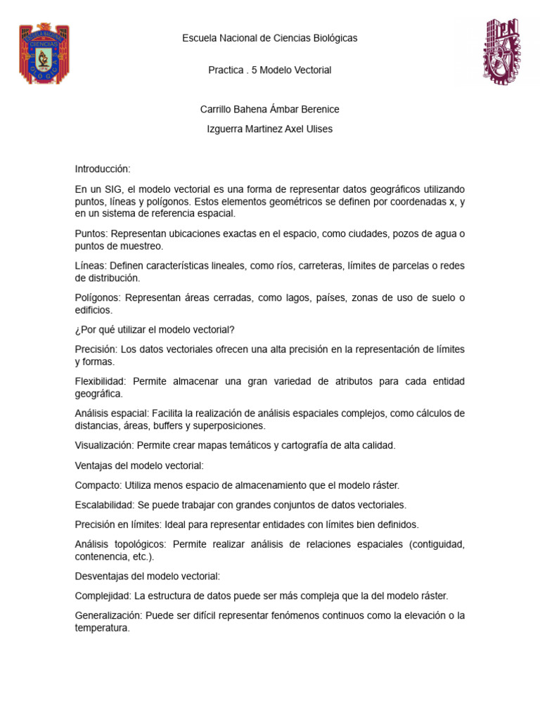 Modelo Vectorial en SIG: Tipos y Ventajas | PDF | Sistema de ...