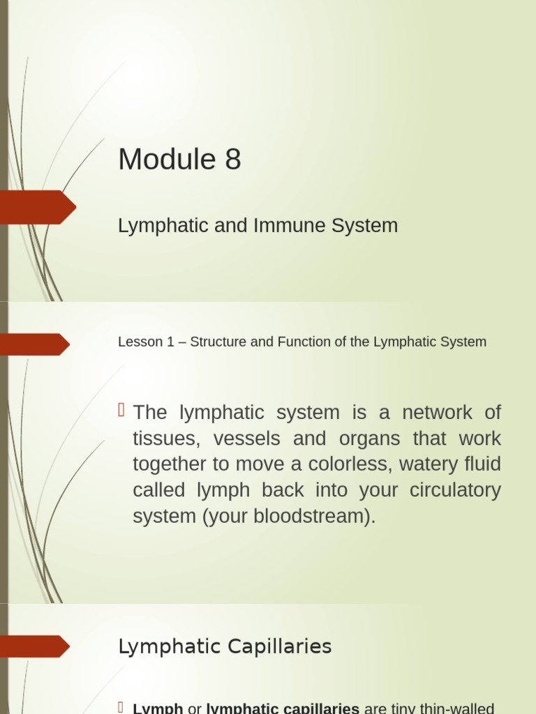 Module 8 Lymphatic and Immune Sysem | PDF | Lymphatic System | Immune System