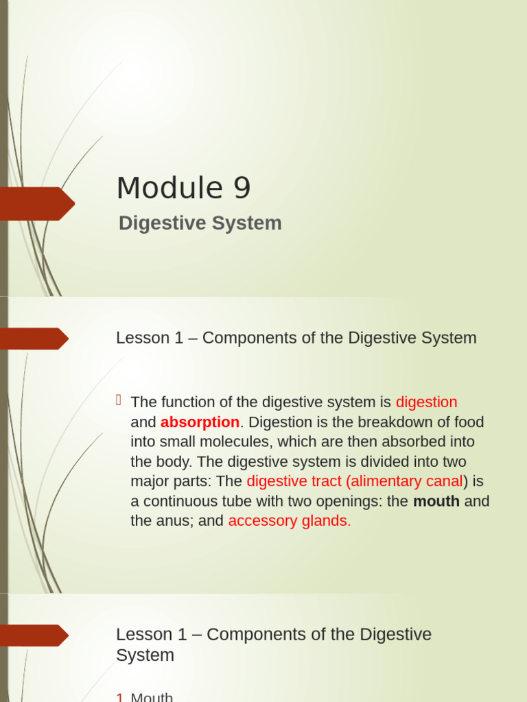 Module 9 Digestive System | PDF | Human Digestive System | Digestion