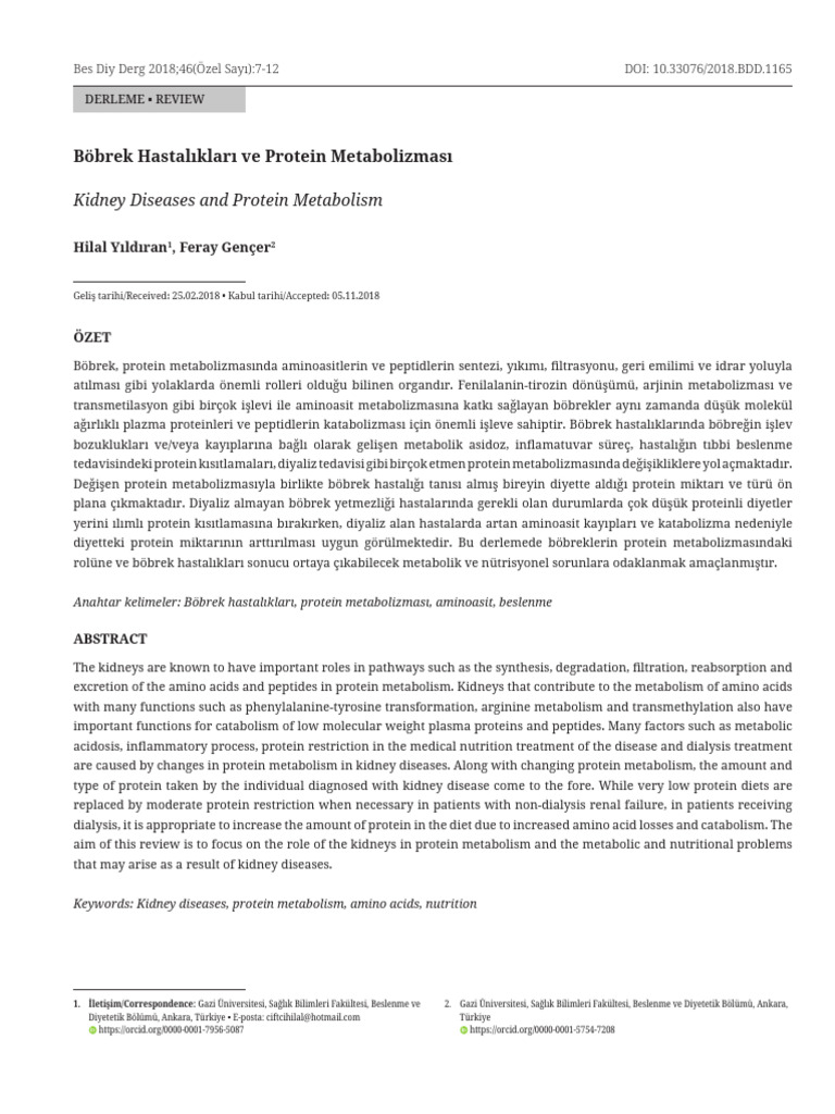 Akdema, Makale-3 | PDF