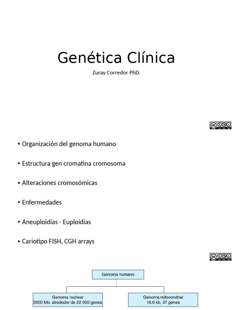 Estructura y Función del Genoma Humano | PDF | Cromosoma | Gene