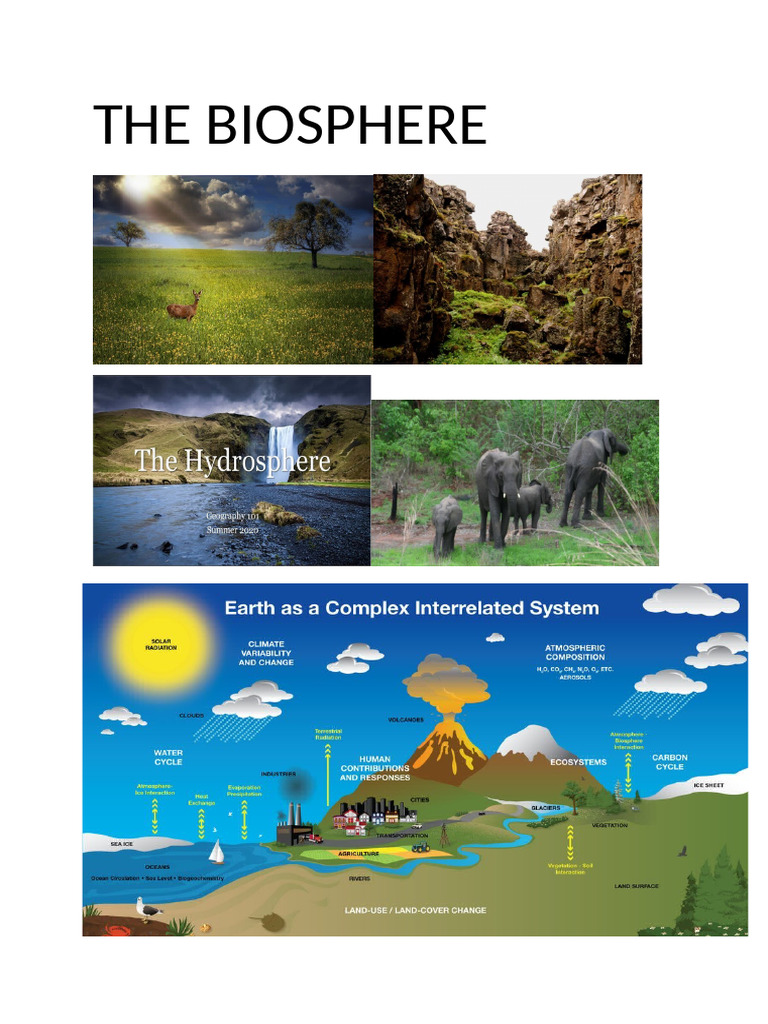 THE BIOSPHERE grade 7 | PDF | Earth | Plants