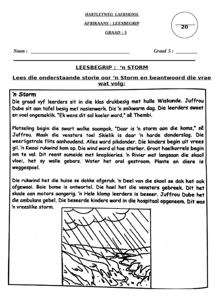 Afrikaans Graad 5 Leesbegrip N Storm 1 Yellow Book | PDF | Branches Of ...