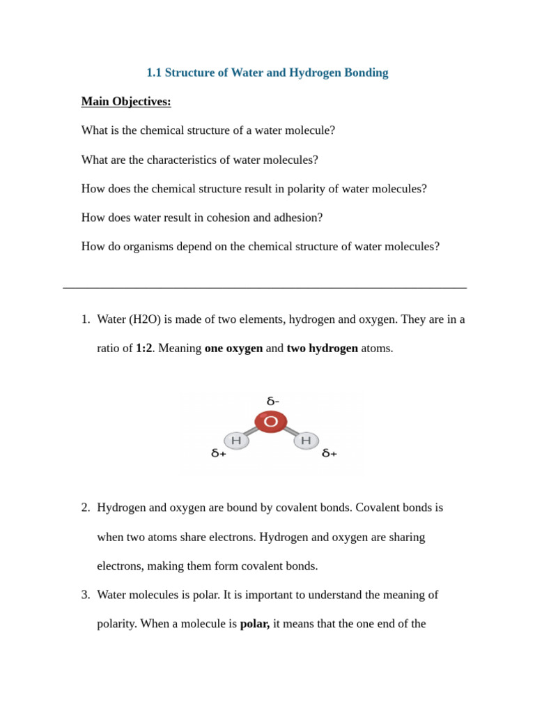 Water Structure and Hydrogen Bonding Explained | PDF | Chemical Bond ...