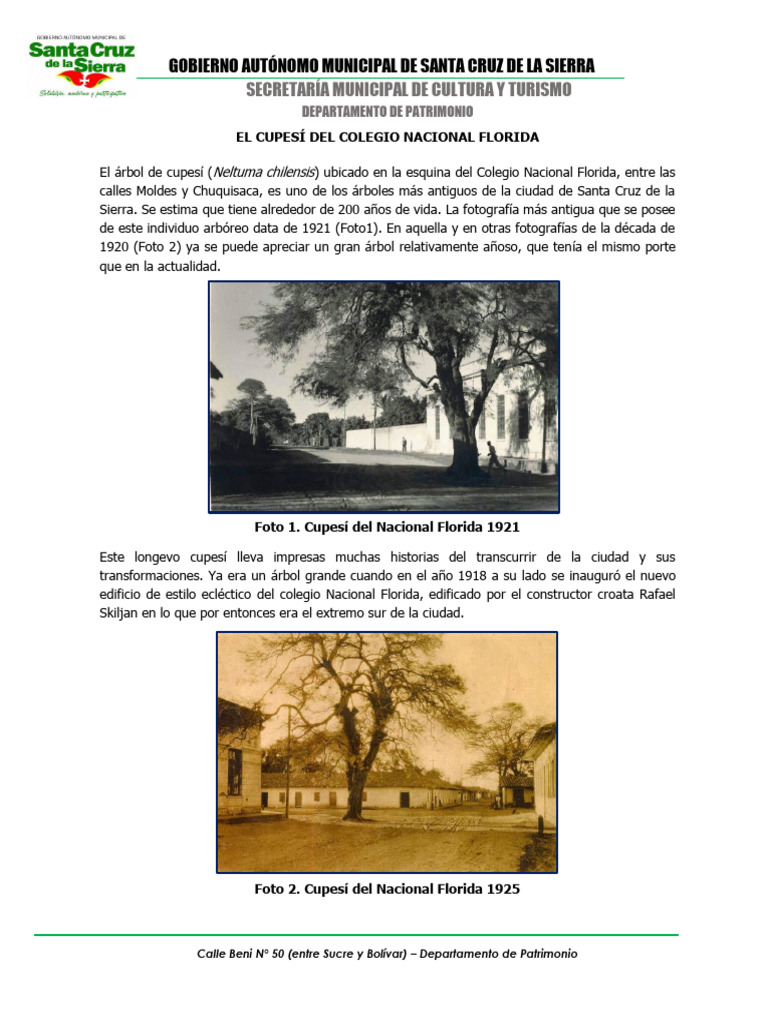 Informe Cupesí Nacional Florida y Los Pozos | PDF | Arboles
