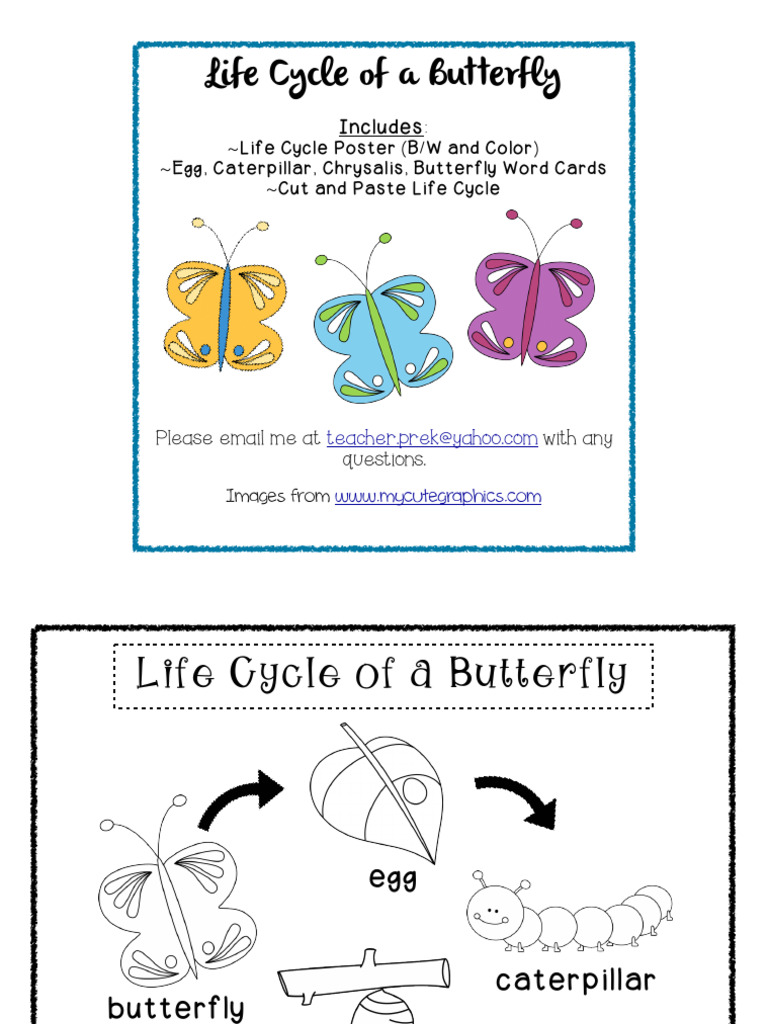 Life Cycle of A Butterfly: Includes | PDF