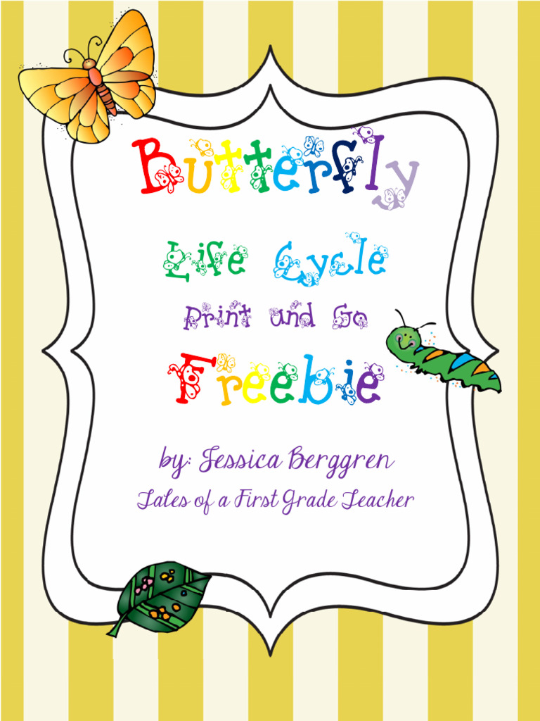 Life Cycle Activities for First Graders | PDF