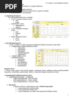 Magánhangzó Törvények | PDF