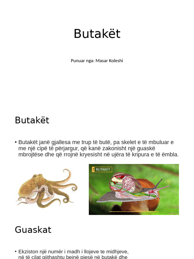 Butakët | PDF