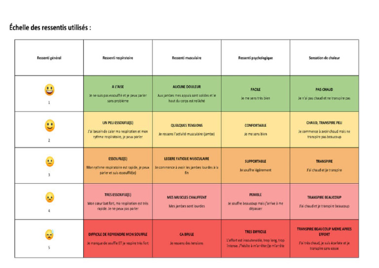 Echelle Des Ressentis | PDF