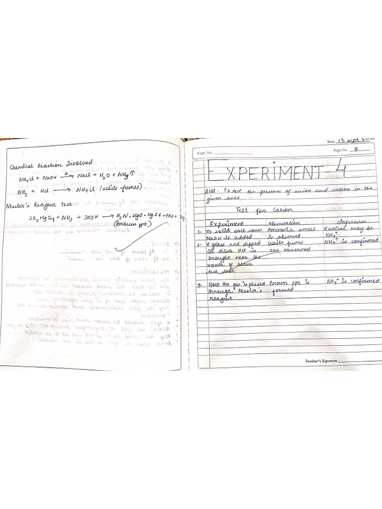 EXPERIMENT 4-8 Test of Cation and Anion | PDF