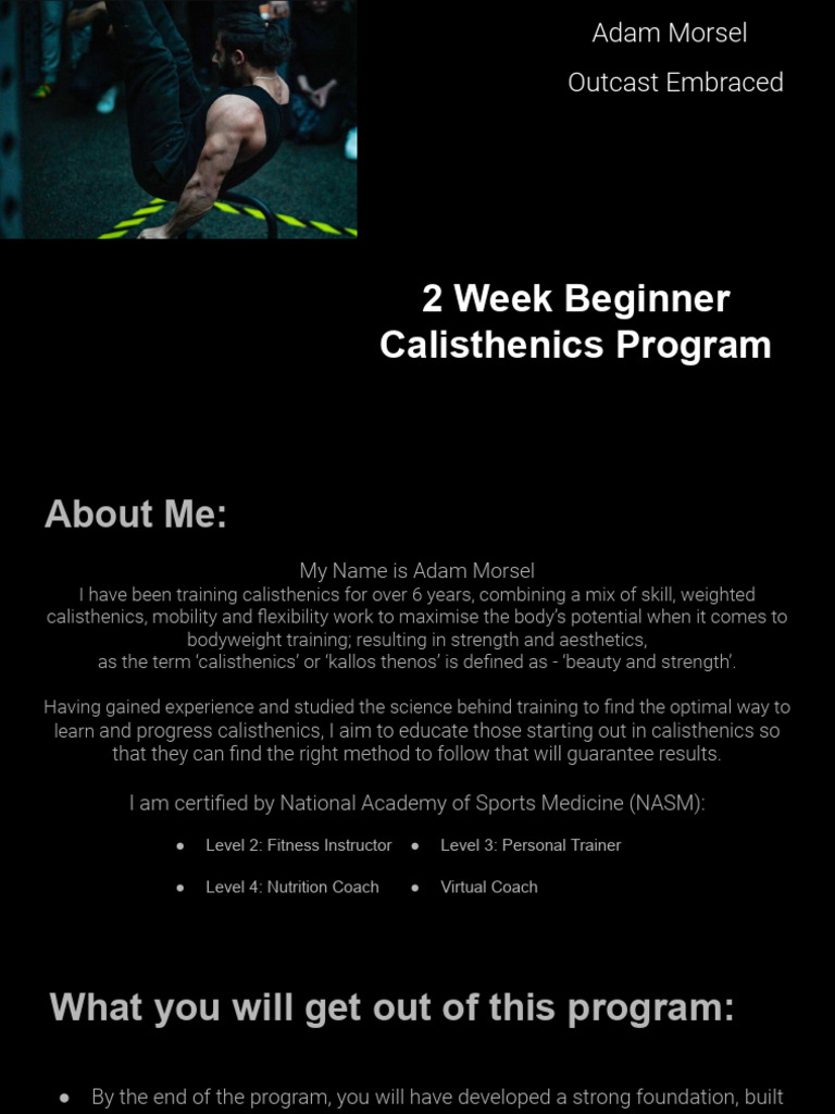 2 Week Beginner Calisthenics Program PPL | PDF | Sports Science | Physical Exercise
