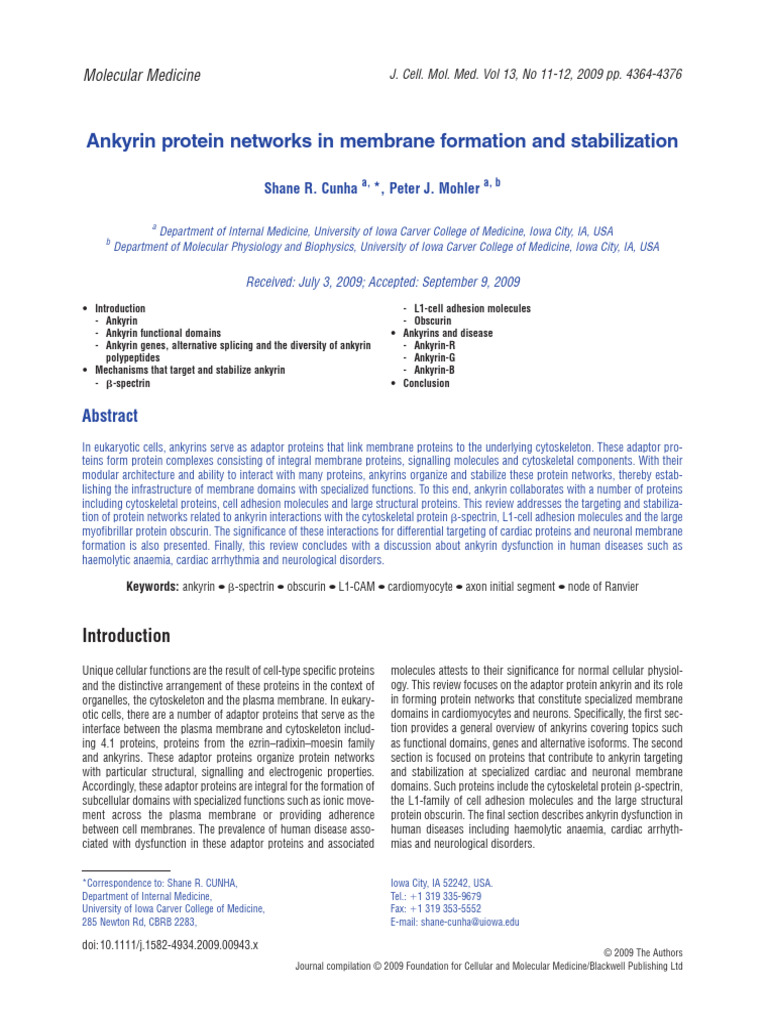 Ankyrin Protein Networks in Membrane Formation and Stabilization | PDF ...