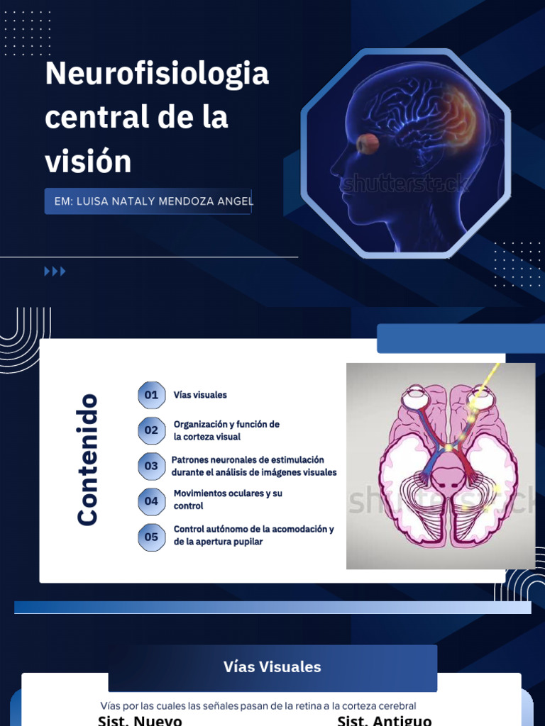Ojo 3 Neurofisiología Central de La Visión | PDF | Percepción visual | Ojo