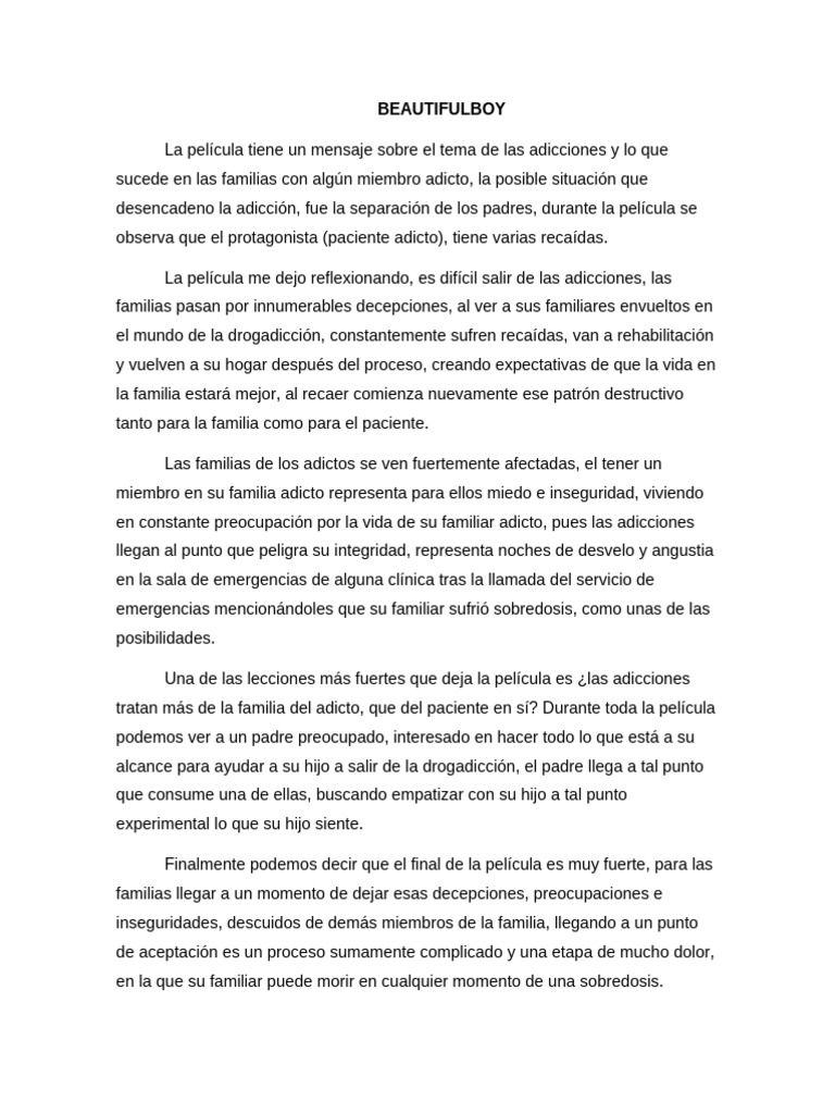 Beautiful Boy | PDF