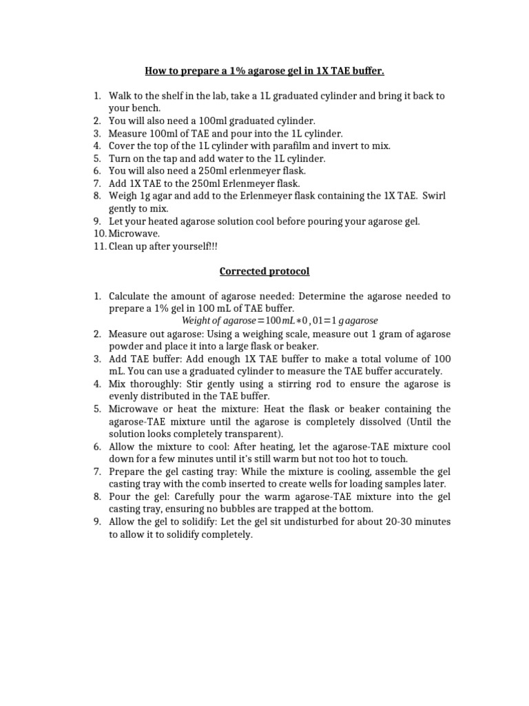 Bad Protocol - Participation Week 8 | PDF