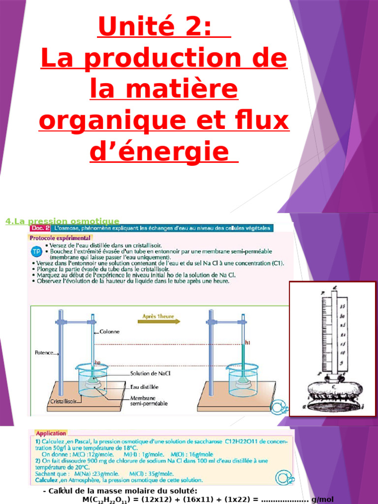 Unité 2 biologie | PDF | Osmose | Membrane cellulaire