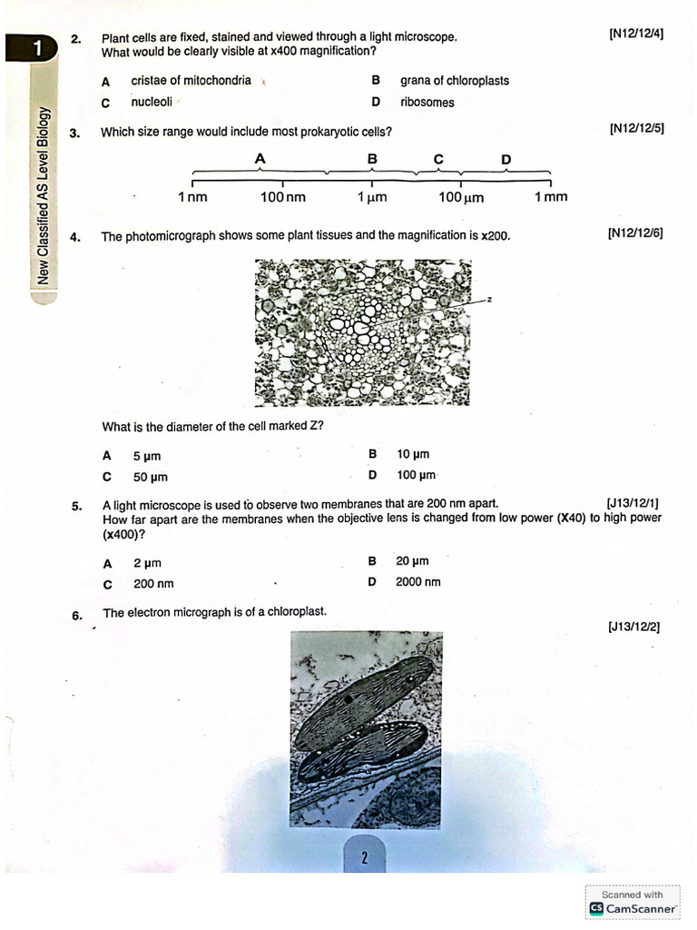 Biology As Level Chapter 1 | PDF