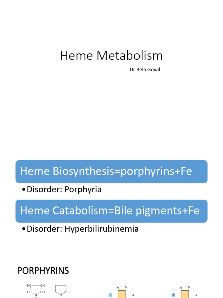 194 Heme Metabolism Mbbs 2017 Batch | PDF | Medical Specialties | Diseases And Disorders