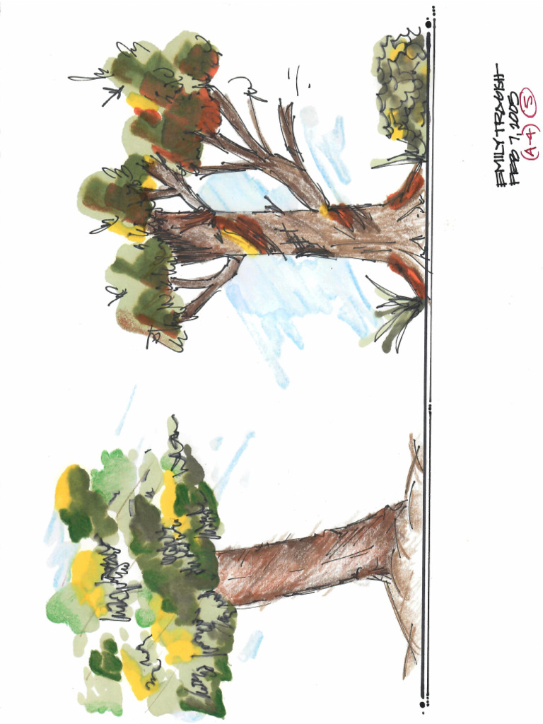Trees | PDF