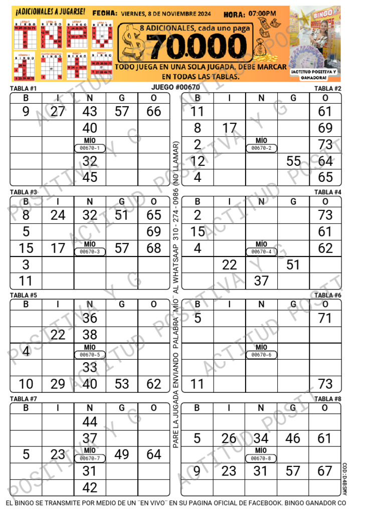 Bingo en Vivo: Juegue y Gane | PDF