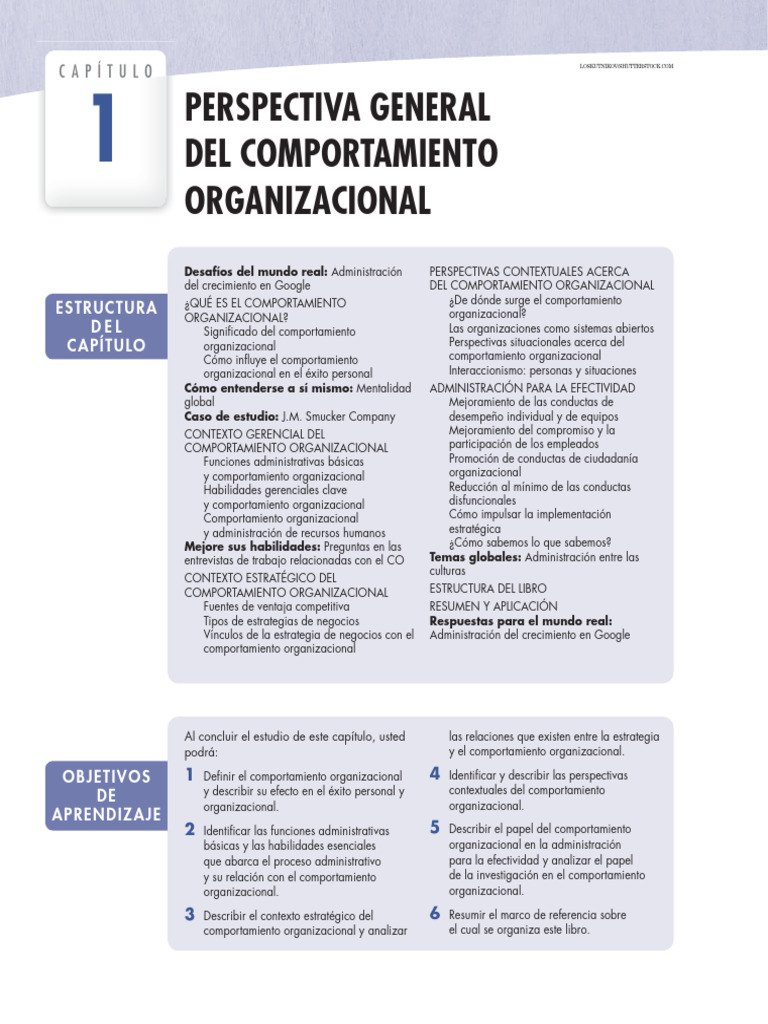 PO-1 Perspectivas General del Comportamiento Organizacional-(3) | PDF ...