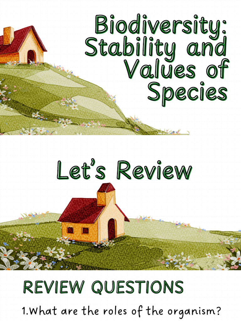 Understanding Biodiversity and Stability | PDF | Ecological Resilience ...