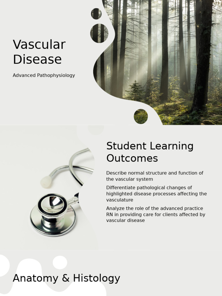 2024 Vascular Disease Patho (1) | PDF | Blood Vessel | Shock (Circulatory)