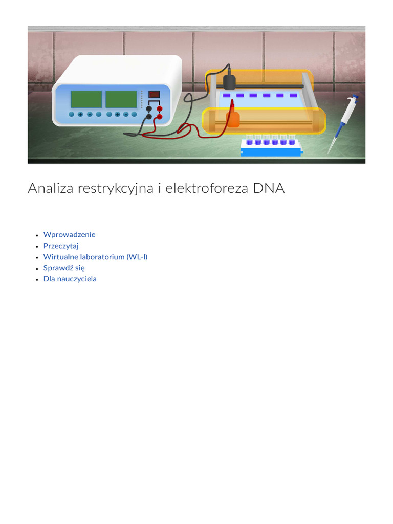 Analiza Restrykcyjna I Elektroforeza DNA | PDF