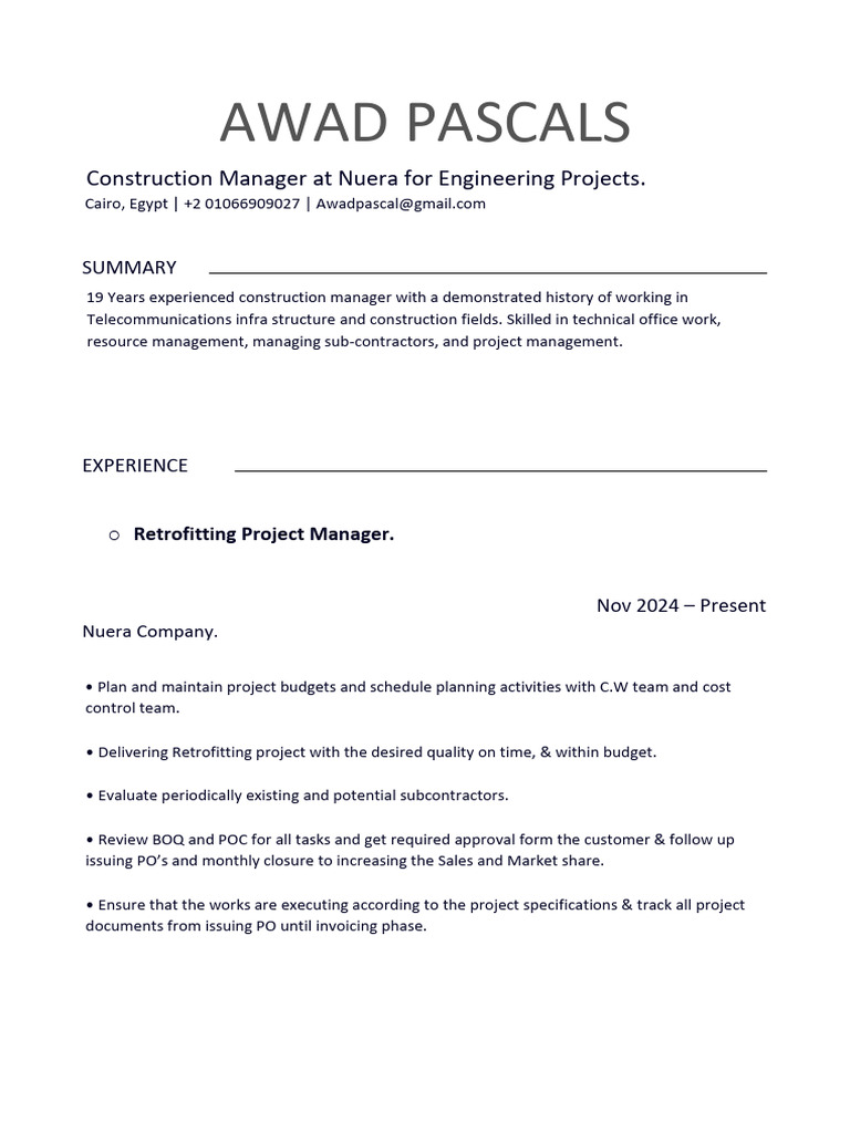 Awad Pascals C.V - 01-01-2025 | PDF | Business