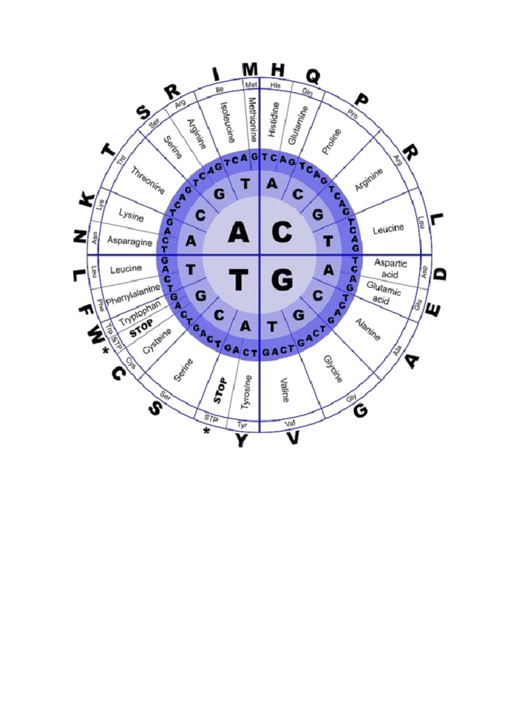 Código Genetico | PDF