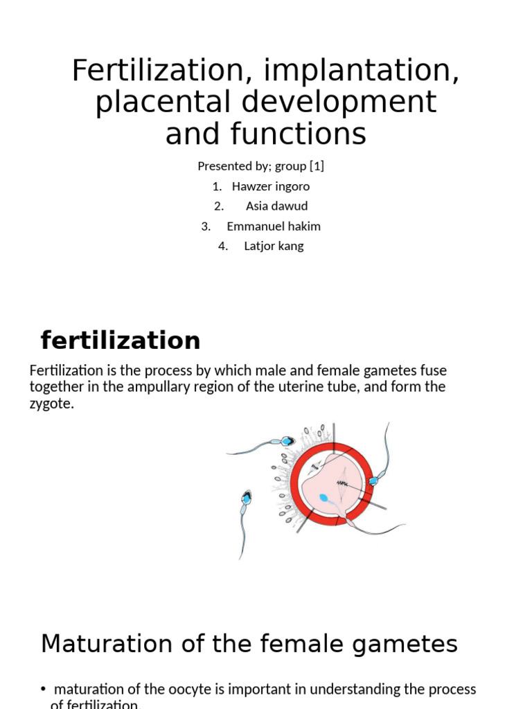 Fertilization, Implantation, Placental Development and Functions 2 ...