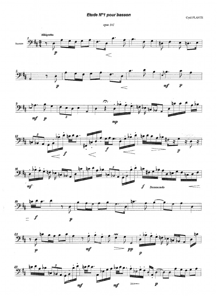 Pivonka 1 | PDF