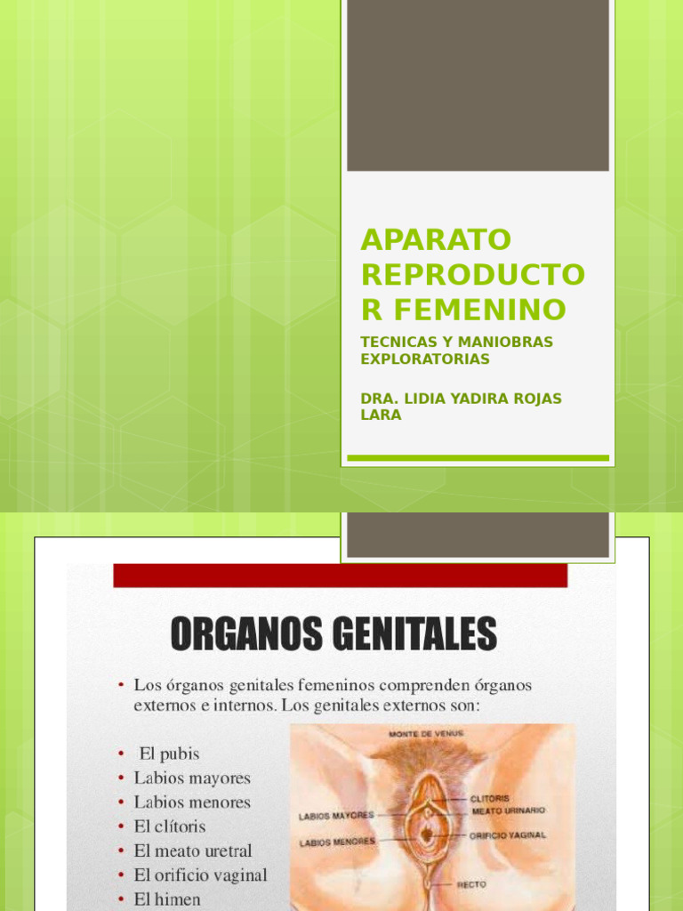 Aparato reproductor femenino: técnicas | PDF