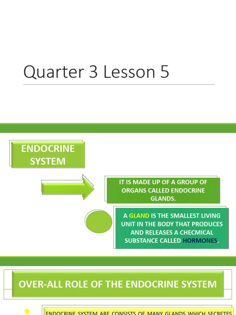 Quarter-3-Lesson-5-Endocrine | PDF | Endocrine System | Hormone