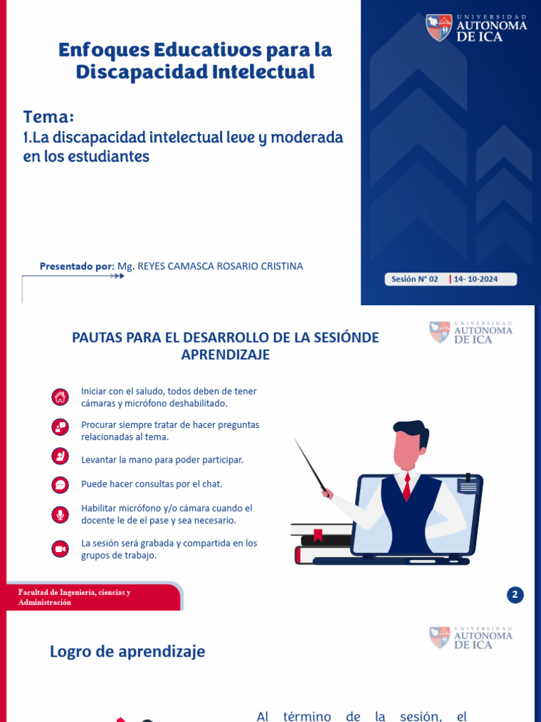 Enfoques Educativos Para La Discapacidad Intelectual | PDF | Discapacidad intelectual | Aprendizaje