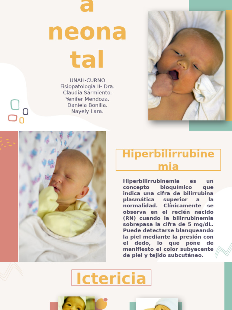 Hiperbilirrubinemia Neonatal | PDF | Especialidades Medicas | Medicina CLINICA