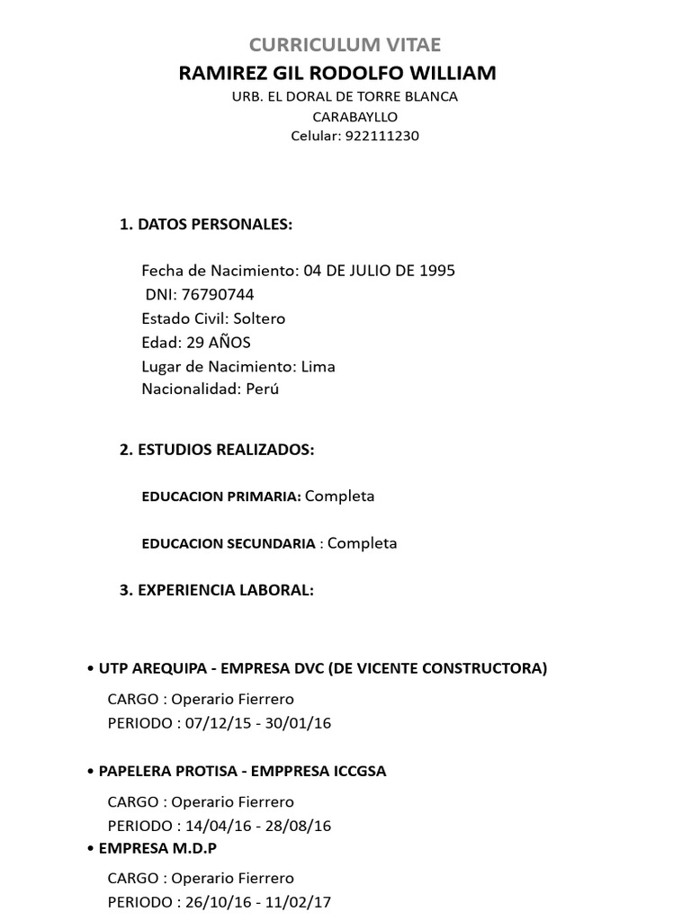 CV Ramirez Gil Rodolfo | PDF