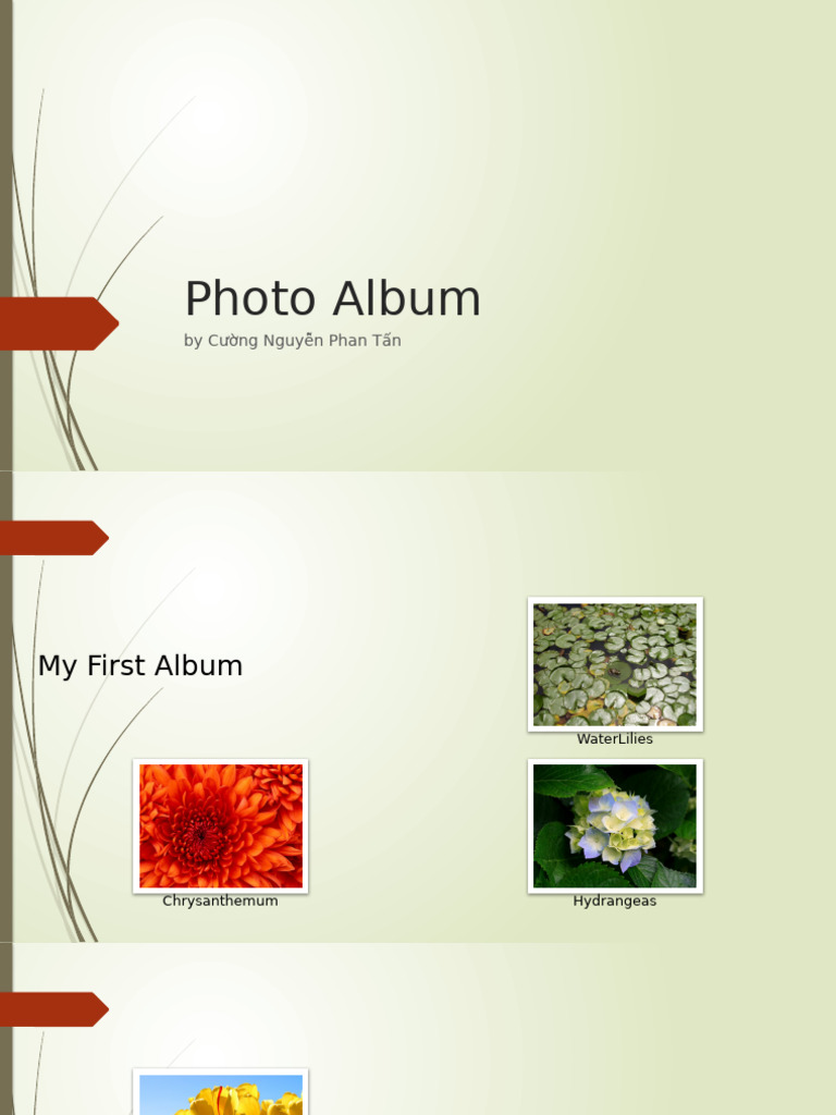 My Album | PDF